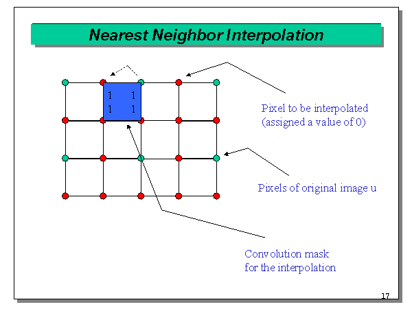 Nearest Neighbor Interpolation